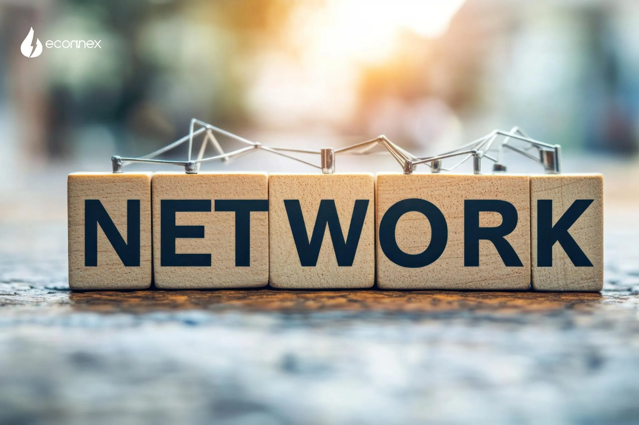 Major Networks vs Smaller Providers: SIM-Only Plan Comparison