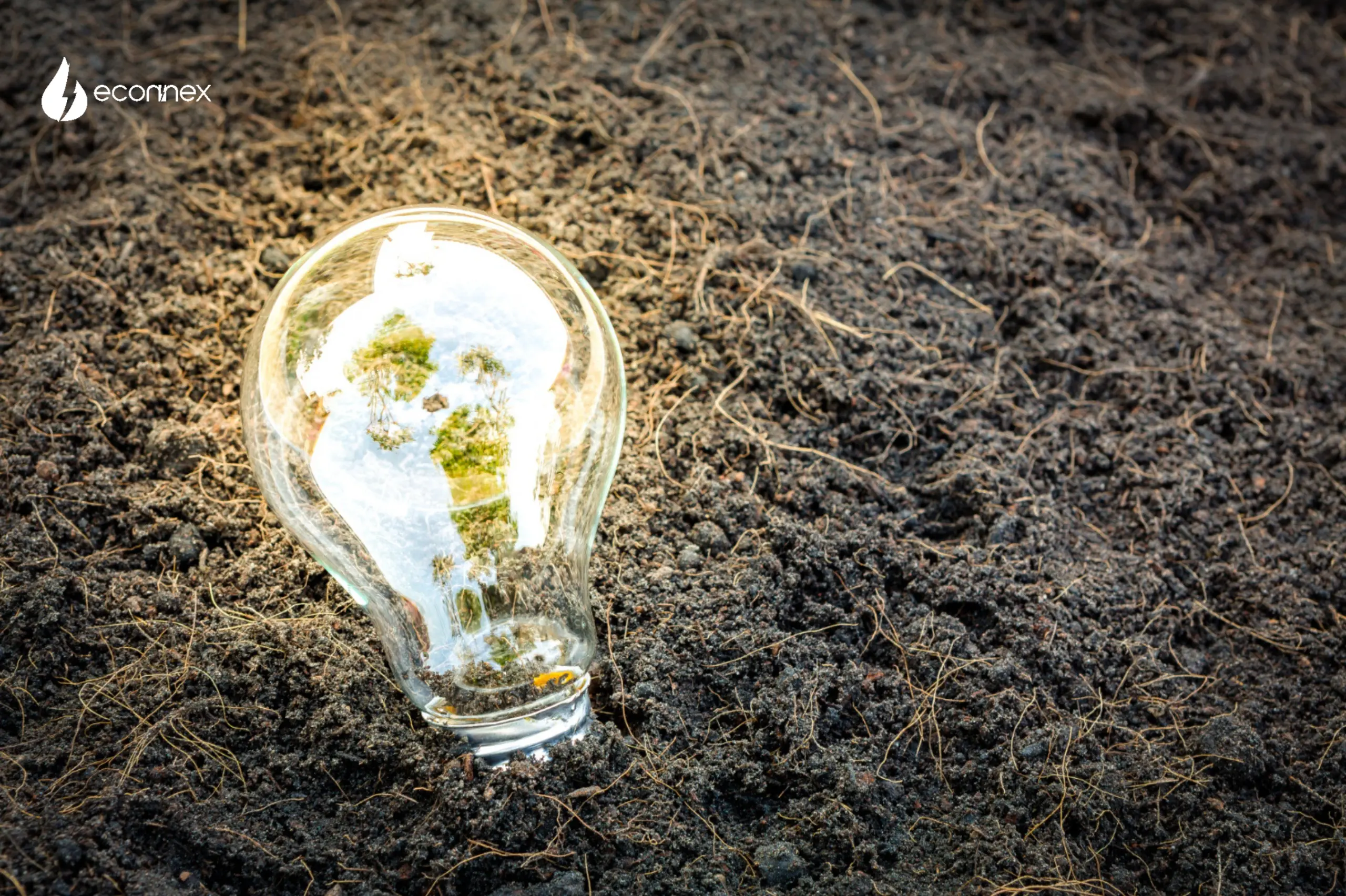 EnergyAustralia vs Origin Energy: Ideal Value Provider 2026