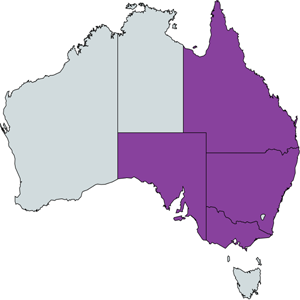 Compare dodo Energy Plans: Compare, Switch & Save